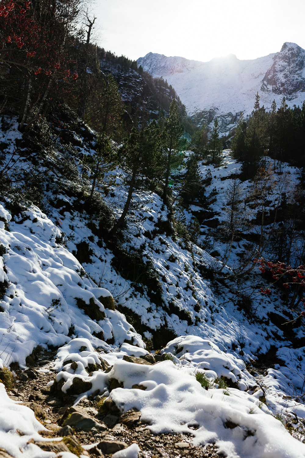 rando-pyrenees-lac-d-oo-lac-d-espingo-rose-fushia-photographie-38 ...